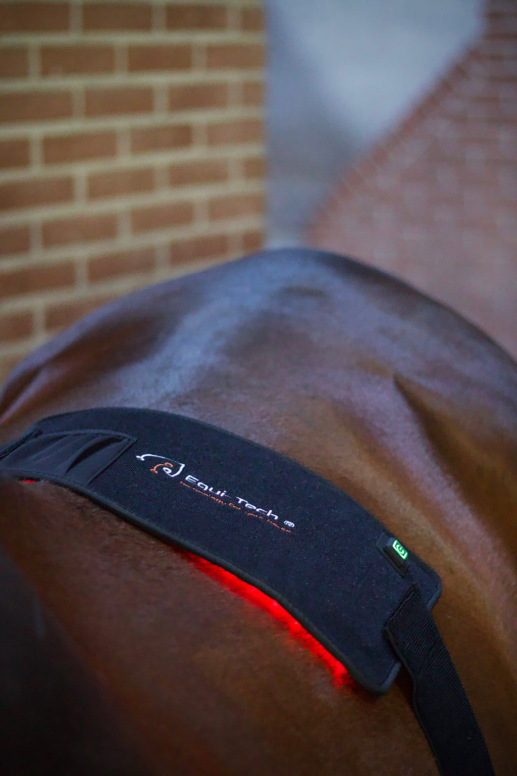 Infrarood Pad Multi | Equi-Tech