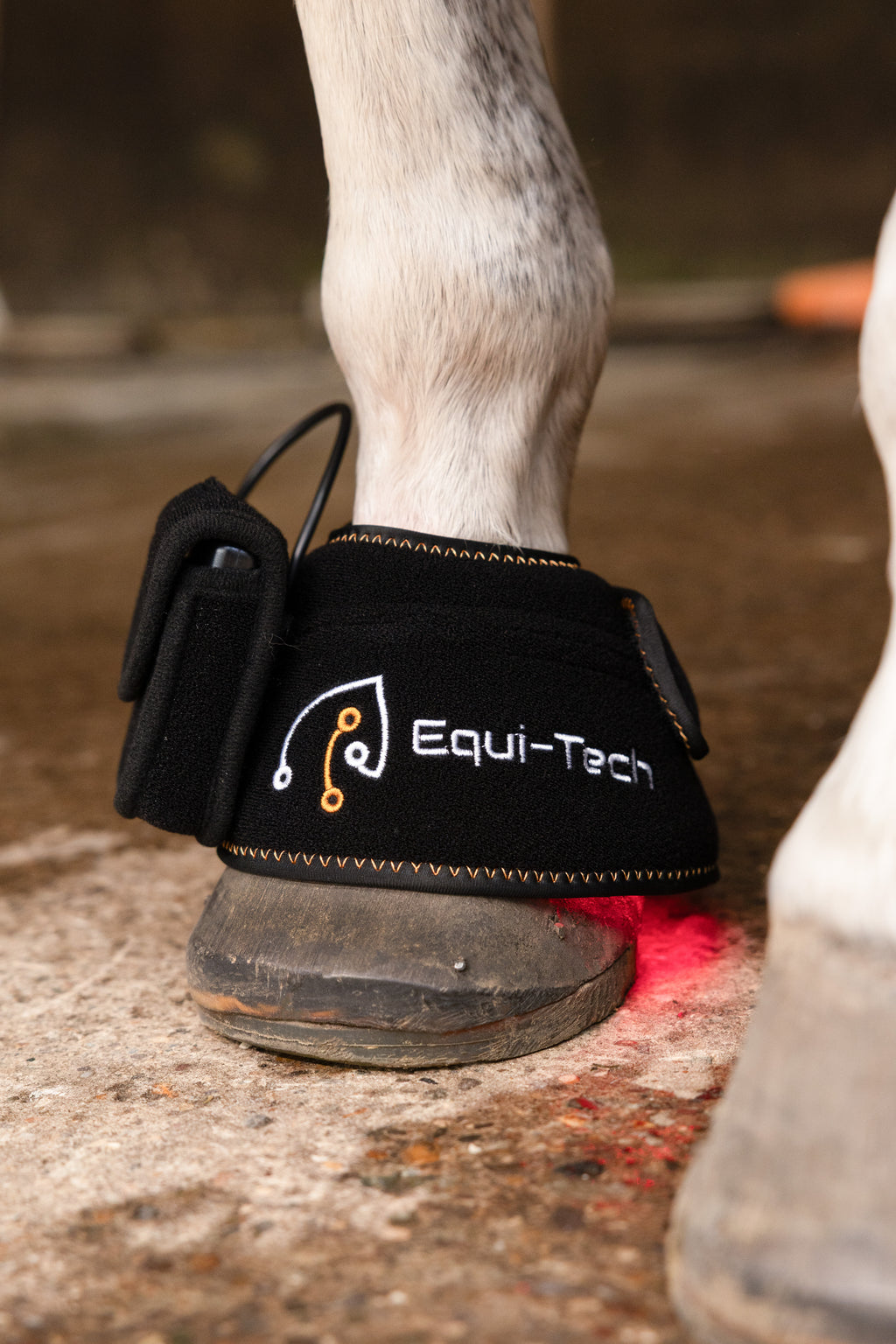 Infrarood hoef pad | Equi-Tech